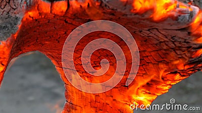 Interesting Unusual Smoldering and Burning Old Tree Stump, Glowing from ...