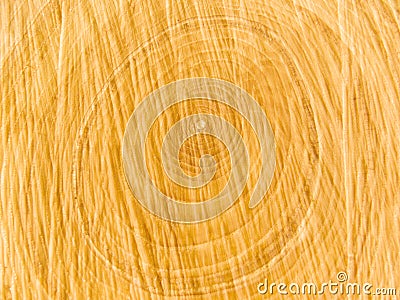 Internal Tree Structure Royalty-Free Stock Photo | CartoonDealer.com ...