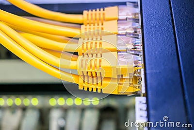 Internet Cable Is In The Datacenter Server Room. Several Yellow Network ...