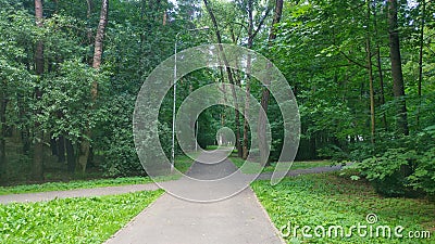 The Intersection Of The Paved Walkways Is In A Park Among Trees. Next ...