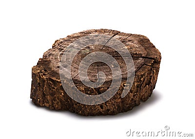 Irregular Cross Section Of A Cut Wood Tree Trunk Slice With Cracks And ...