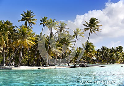 Isla Con Las Palmeras En El Mar Foto de archivo - Imagen: 67555408