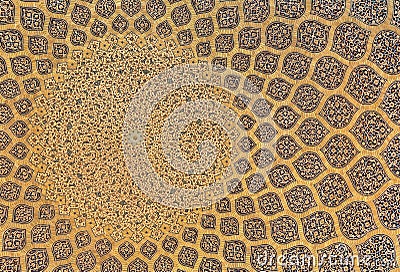 Islamic Mosque Pattern Stock Photography - Image: 23879822