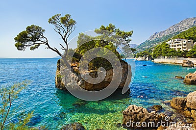 Island And Trees In Brela, Croatia Royalty-Free Stock Photography ...