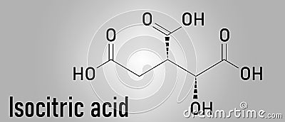 Isocitric Acid Molecule. Skeletal Formula. Chemical Structure Cartoon ...