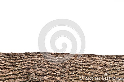 Isolated Stump/ Stub Bark With Wooden Texture Royalty-Free Stock ...