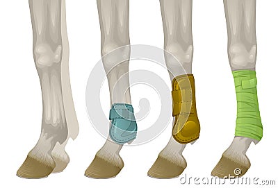 Jambe De Cheval Illustration de Vecteur - Image: 55735729