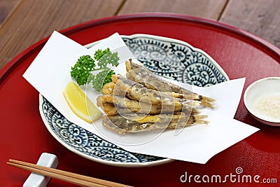 Japanese Green Eyes Fish Royalty-Free Stock Photography | CartoonDealer ...