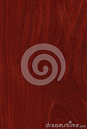 Jarrah (wood Texture) Stock Photo - Image: 8108970