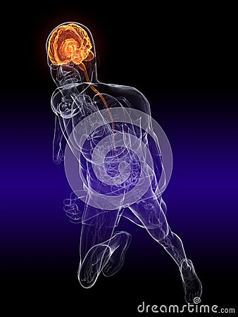 Jogger - Active Brain Royalty-Free Cartoon | CartoonDealer.com #18584027
