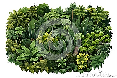 Jungle Top View Drone Shot Vector Flat Isolated Illustration ...