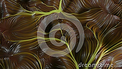 4K Abstract Muscle Tissue. stock video. Video of glossy - 126366759