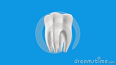 Molar Tooth Spinning Animation Stock Video - Video of dentistry, object ...