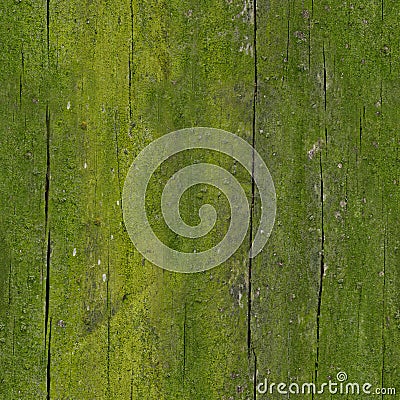 8K Moss Wood Diffuse And Albedo Map For 3d Materials Royalty-Free Stock ...
