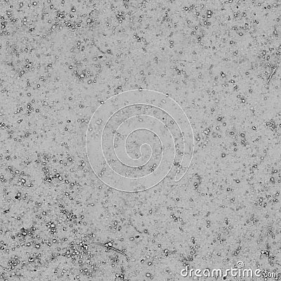 8K Pebble Ground Roughness Texture, Height Map Or Specular For ...