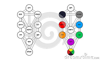 Kabbalah, Sephiroth, Tree Of Life Vector Isolated On White Background ...