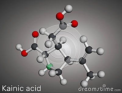 Kainic Acid Or Kainate Molecule. It Is Neuroexcitatory Amino Acid ...