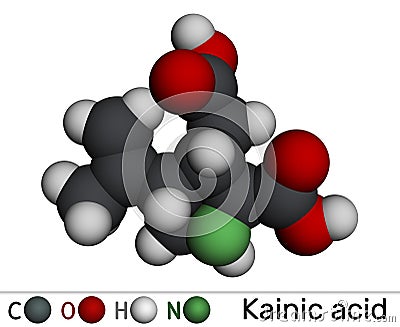 Kainic Acid Or Kainate Molecule. It Is Neuroexcitatory Amino Acid ...