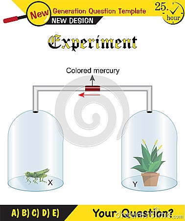 Physics - Joseph Priestley`s Experiment, Photosynthesis Phenomenon Of ...