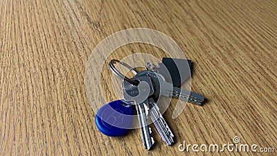 A Bunch of Keys on the Table Stock Footage - Video of house, flat ...