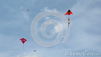 Kites Flying stock video. Video of black, flying, spring - 72054515