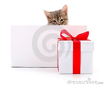Kitten With Banner Stock Image | CartoonDealer.com #264365299