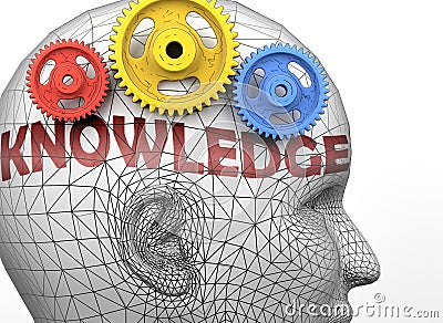 Knowledge And Human Mind - Pictured As Word Knowledge Inside A Head To ...