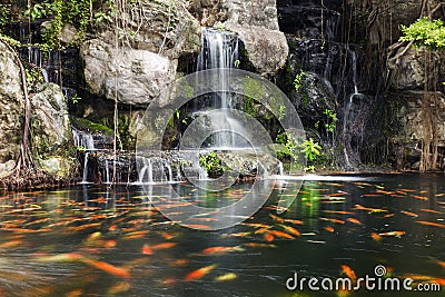 Koi Fish In Pond At Garden With A Waterfall Stock Image - Image: 25541071