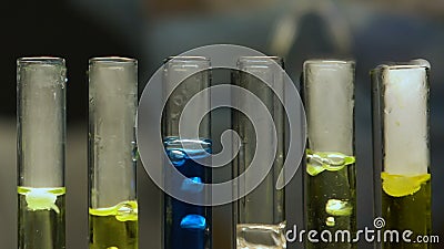 Lab Worker Adding Liquid into Test Tubes, Comparing Boiling Reaction ...