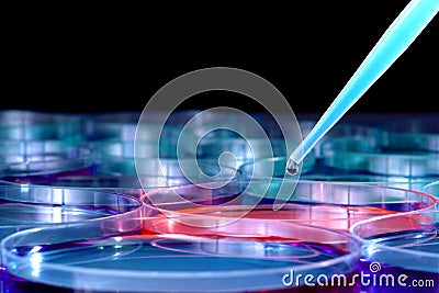Laboratory Experiment In Science Research Lab Royalty Free Stock Photos ...