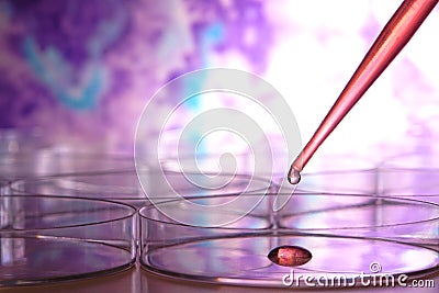 Laboratory Experiment In Science Research Lab Royalty Free Stock Photos ...
