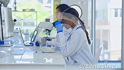 Laboratory, Science and Woman for Microscope Analysis or Study Virus ...