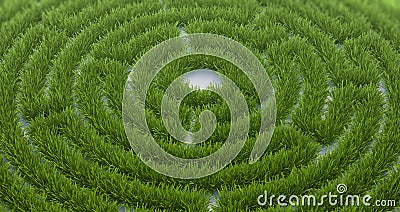 Labyrinth Made Of Grass