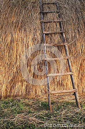 Ladder On Straw Royalty Free Stock Photo - Image: 196325