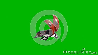 Ladybug Flying on Green Screen Stock Video - Video of ladybug, walking ...