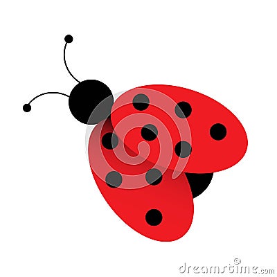 Ladybug, Red Beetle Vector Graphic. Isolated On White Background ...