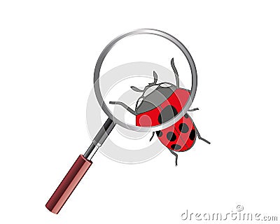 Ladybug Under Microscope. Ladybird On White Background. Cute Cartoon ...