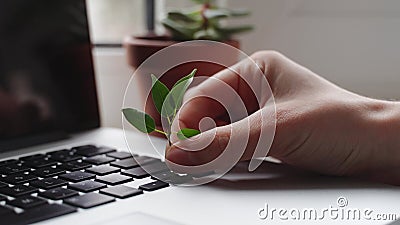 Laptop Keyboard with Plant Growing on it. Green it Computing Concept ...