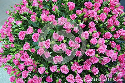 Large Bright Bouquet Of Freshly Cut Small Roses. Royalty-Free Stock ...