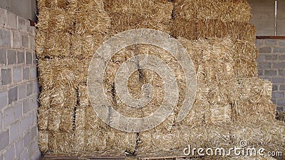Large Haystack in the Barn on the Farm. Stock Footage - Video of ...
