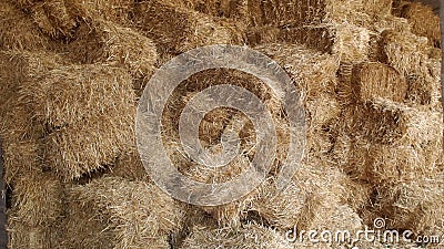 Large Haystack in the Barn on the Farm. Stock Video - Video of pile ...