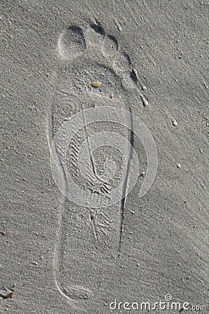 Large Human Footprint Royalty Free Stock Images - Image: 11099539