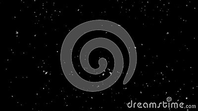 A Large Number of Falling Soft Fluff on a Black Background HD 1080 ...