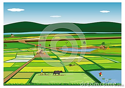 Large Paddy Field Cartoon Vector | CartoonDealer.com #118574807