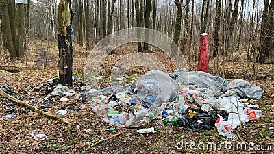 A Large Pile Of Garbage In The Forest. Ecological Problem Of ...