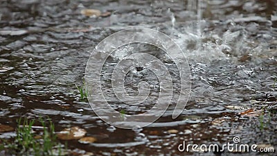 Rain Puddle Forms Under Roof Gutter Stock Video - Video of liquid ...