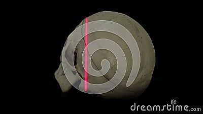 Laser Line Three Dimensional Scan Of Human Skull Model Stock Video ...