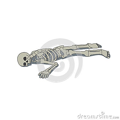 Laying Skeleton Cartoon Vector | CartoonDealer.com #58057699