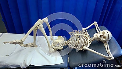 Lazy Bones Stock Photo - Image: 58936270