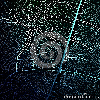 Leaf On Inverse Background. Cartoon Vector | CartoonDealer.com #28874505